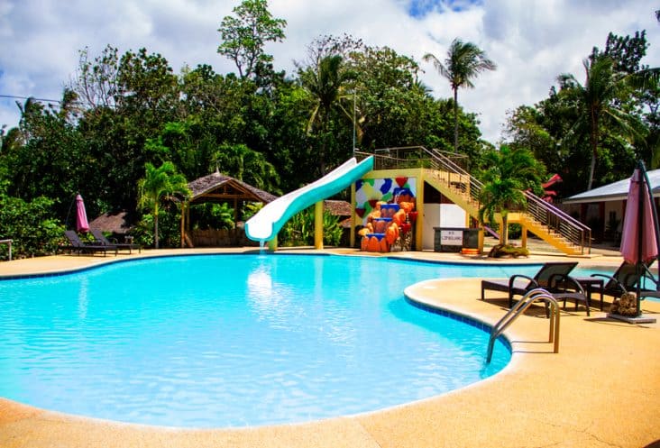 How To Keep Wolf Spiders Out of Pool | BeatPests