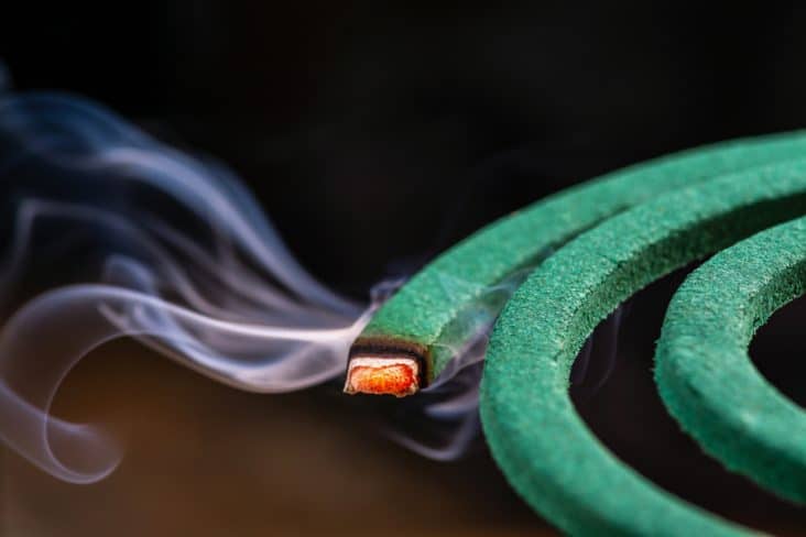 8 Bug-Repelling Incense Scents | BeatPests