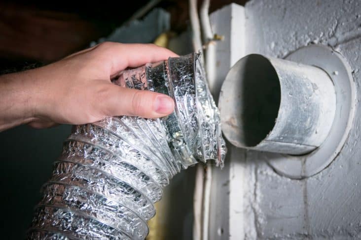 How To Keep Squirrels Out of Dryer Vent | BeatPests