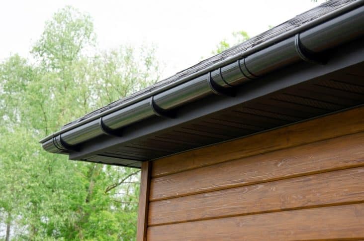 What Deters Squirrels From Gutters | BeatPests