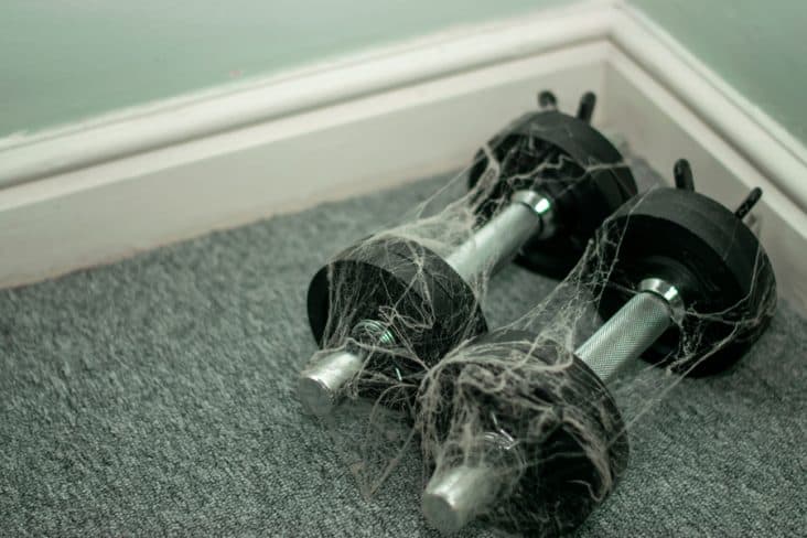 How To Keep Spiders Out of Garage Gym | BeatPests