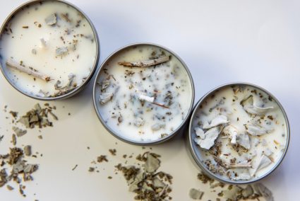 What Candle Keeps Flies Away? | BeatPests