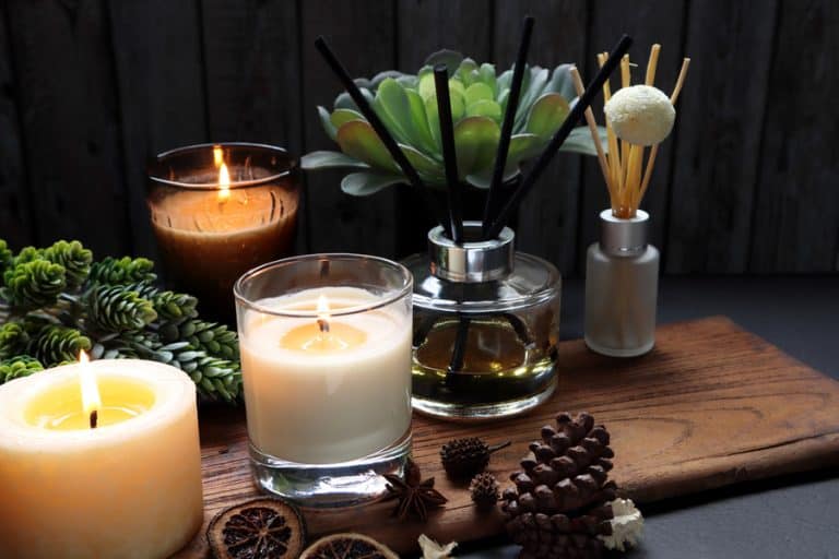 What Candle Keeps Flies Away? | BeatPests