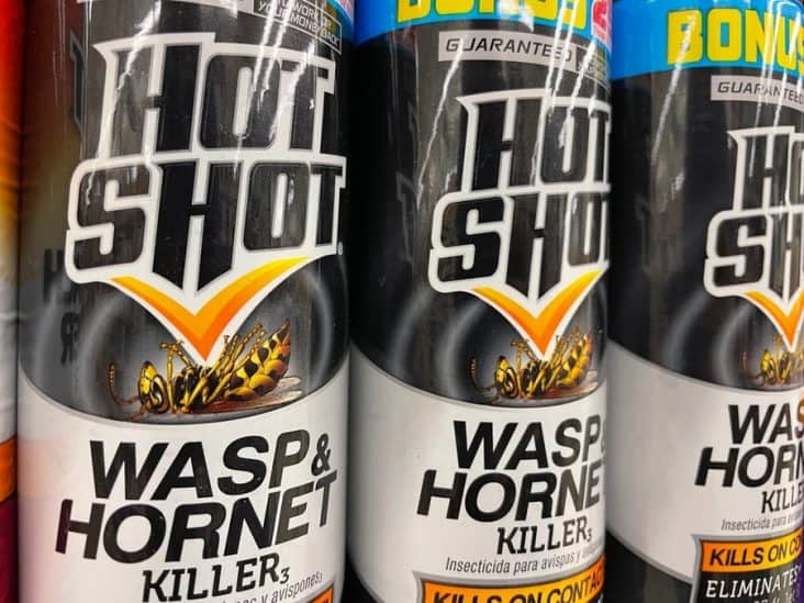 5 Things You Can Spray on Wood To Keep Wasps Away | BeatPests