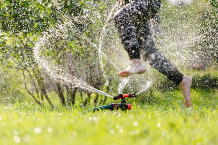 7 Ways To Keep Snakes Away From Swimming Pools | BeatPests