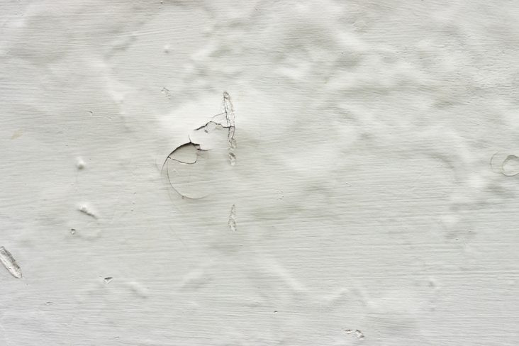 How Do Exterminators Get Rid of Termites? | BeatPests