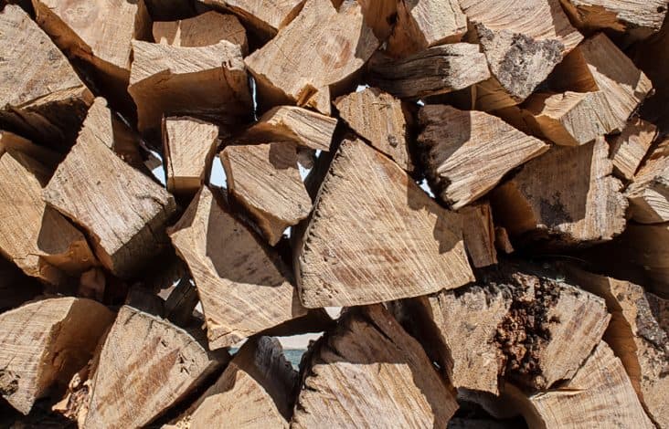 5 Effective Natural Mosquito-Repellents When Burned | BeatPests