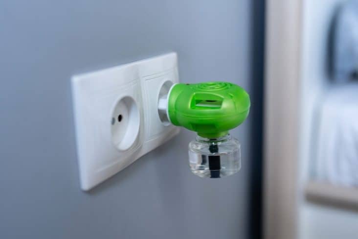 What Does Eucalyptus Repel? | BeatPests