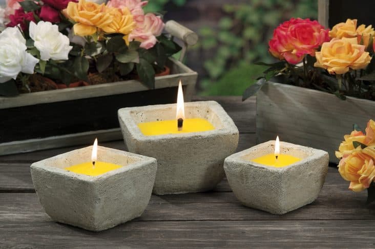 What Candle Keeps Flies Away? | BeatPests