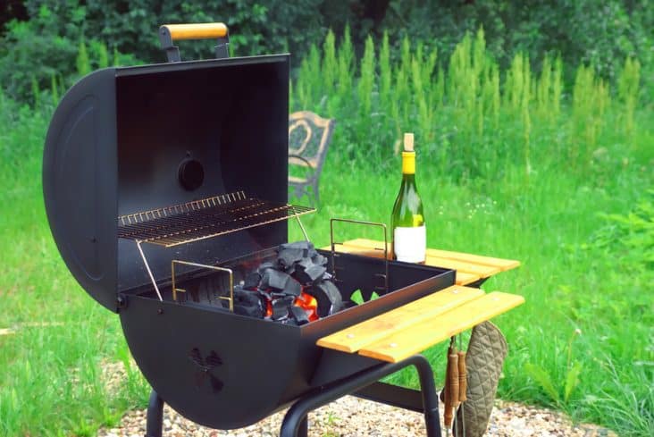 3 Ways To Keep Mice Out of Your Grill | BeatPests