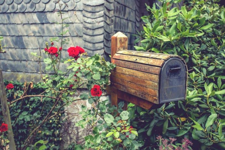 How To Keep Ants Out of Mailbox | BeatPests