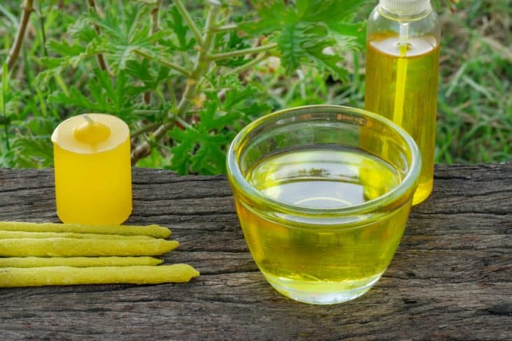 How To Repel Corn Flies | BeatPests