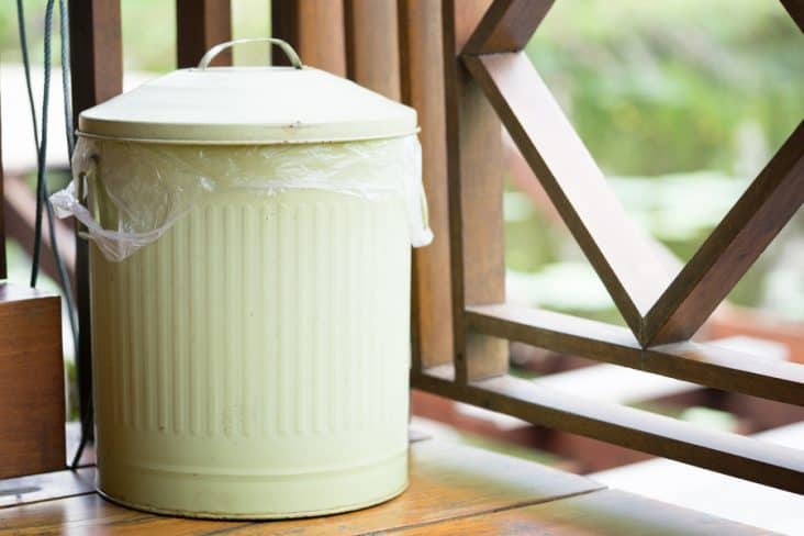 How To Keep Bees Out of Trash Cans | BeatPests