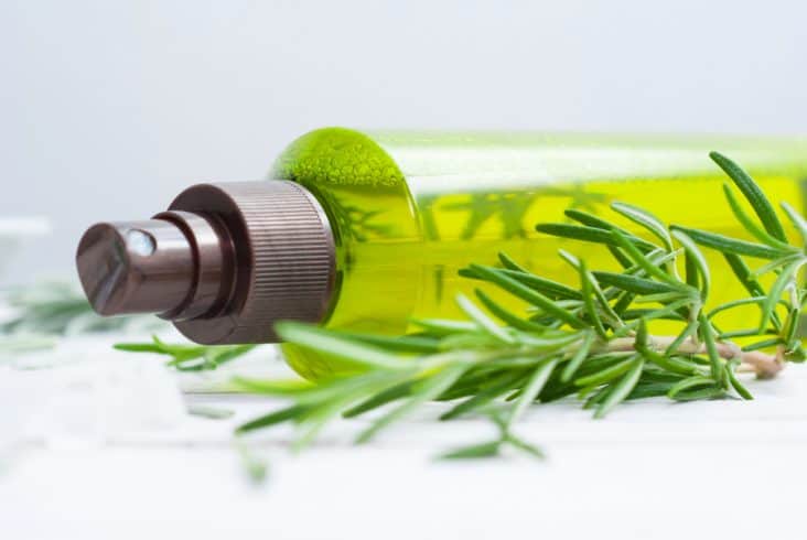 What Does Rosemary Repel