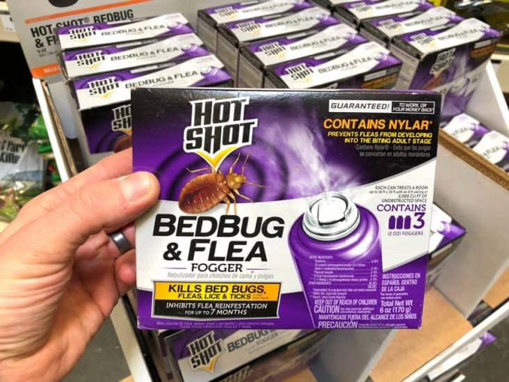 How To Tell if Fleas Are Dying | BeatPests