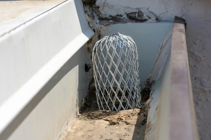 How To Keep Rats Out of Gutters | BeatPests