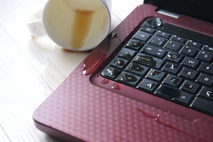 How To Get Roaches Out of Laptop | BeatPests