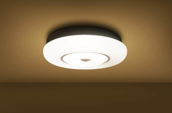 How To Keep Spiders Away From LED Lights | BeatPests