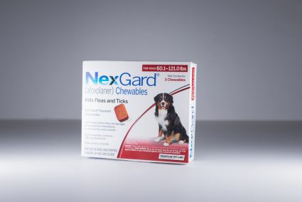 How To Tell if Fleas Are Dying | BeatPests