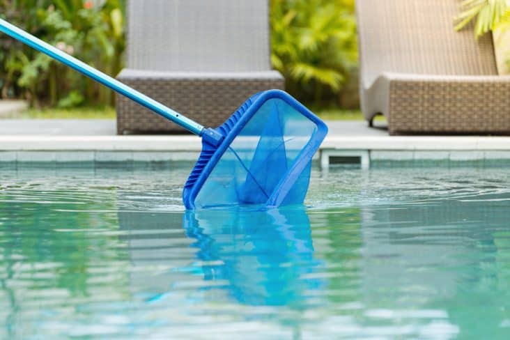 How To Keep Spiders Out of Pool Cage | BeatPests