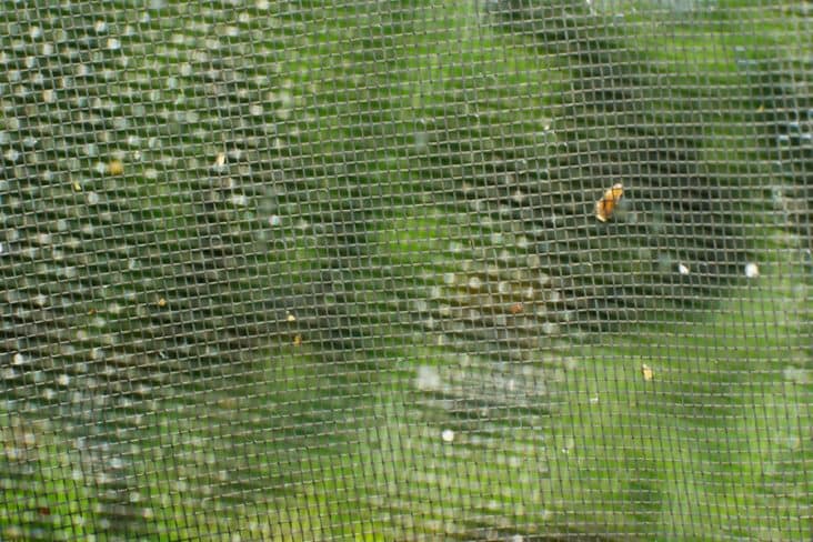 10 Ways To Keep Water Snakes Away | BeatPests