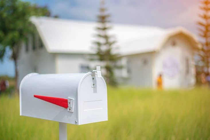 How To Keep Spiders Out of Mailbox | BeatPests