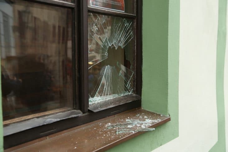 15 Different Ways Birds Can Enter Your Home | BeatPests
