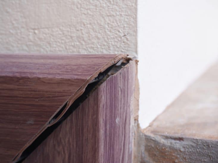 8 Ways To Stop Termite Droppings | BeatPests