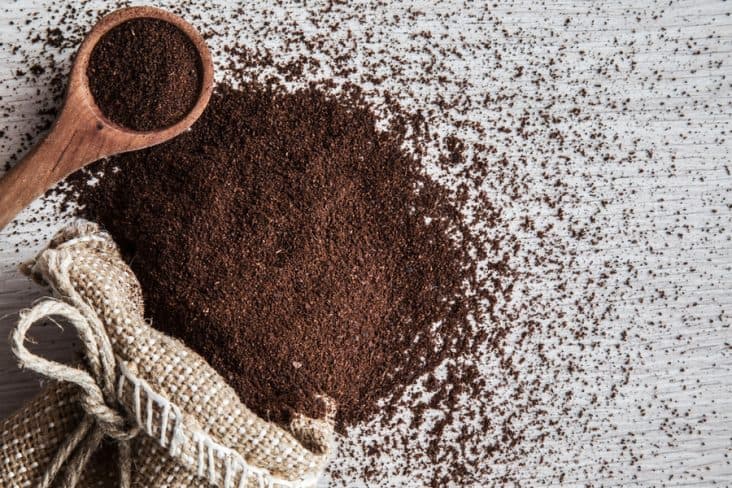 6 Types of Pests That Coffee Grounds Repel | BeatPests