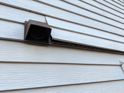 15 Different Ways Birds Can Enter Your Home | BeatPests