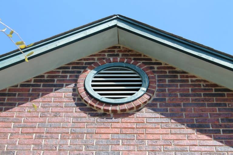 15 Different Ways Birds Can Enter Your Home | BeatPests