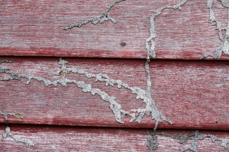 8 Ways To Stop Termite Droppings | BeatPests
