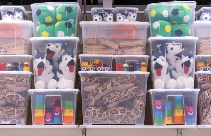 How To Keep Mice Out of Plastic Totes | BeatPests