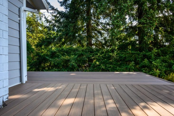 Where Do Roof Rats Go During the Day? | BeatPests