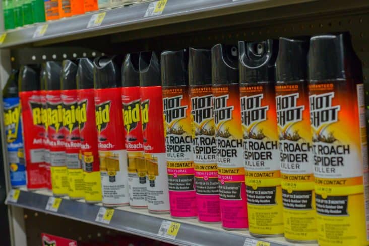 How To Keep Spiders Out of Car Mirrors | BeatPests