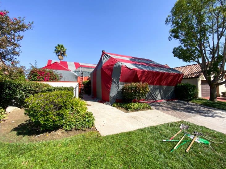 Why Do Exterminators Tent Houses? | BeatPests