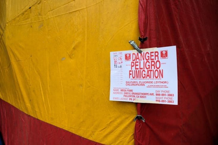 Why Do Exterminators Tent Houses? | BeatPests