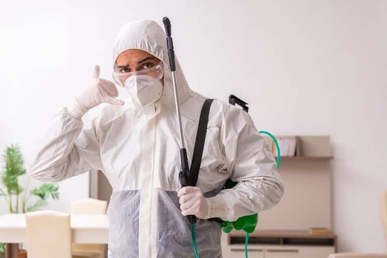 How To Identify Pest Droppings | BeatPests