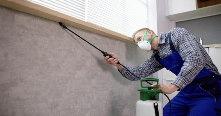 What Does Cypermethrin Kill? | BeatPests